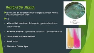 Culture media & Quality Control | PPTX