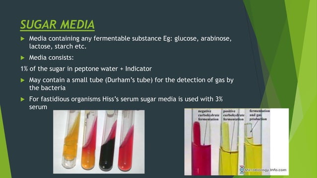 Culture media & Quality Control | PPTX