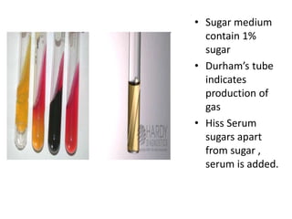 Culture media | PPTX