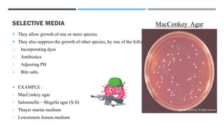 Culture Media.pdf