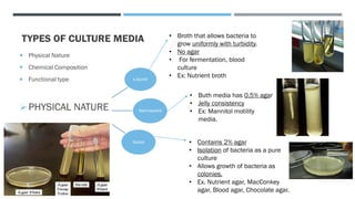 Culture Media.pdf