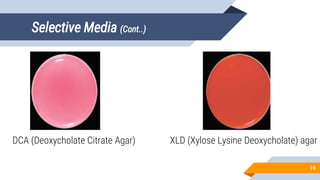 culture media.pptx | Blood Disorders | Diseases and Conditions