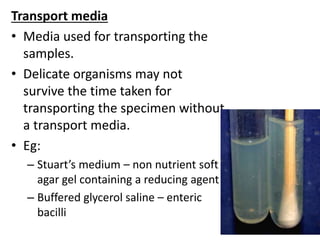 culture Media and its types everything .pptx