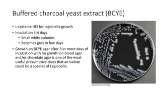 Rangkuman Beberapa Media Kultur untuk Bakteri.pptx