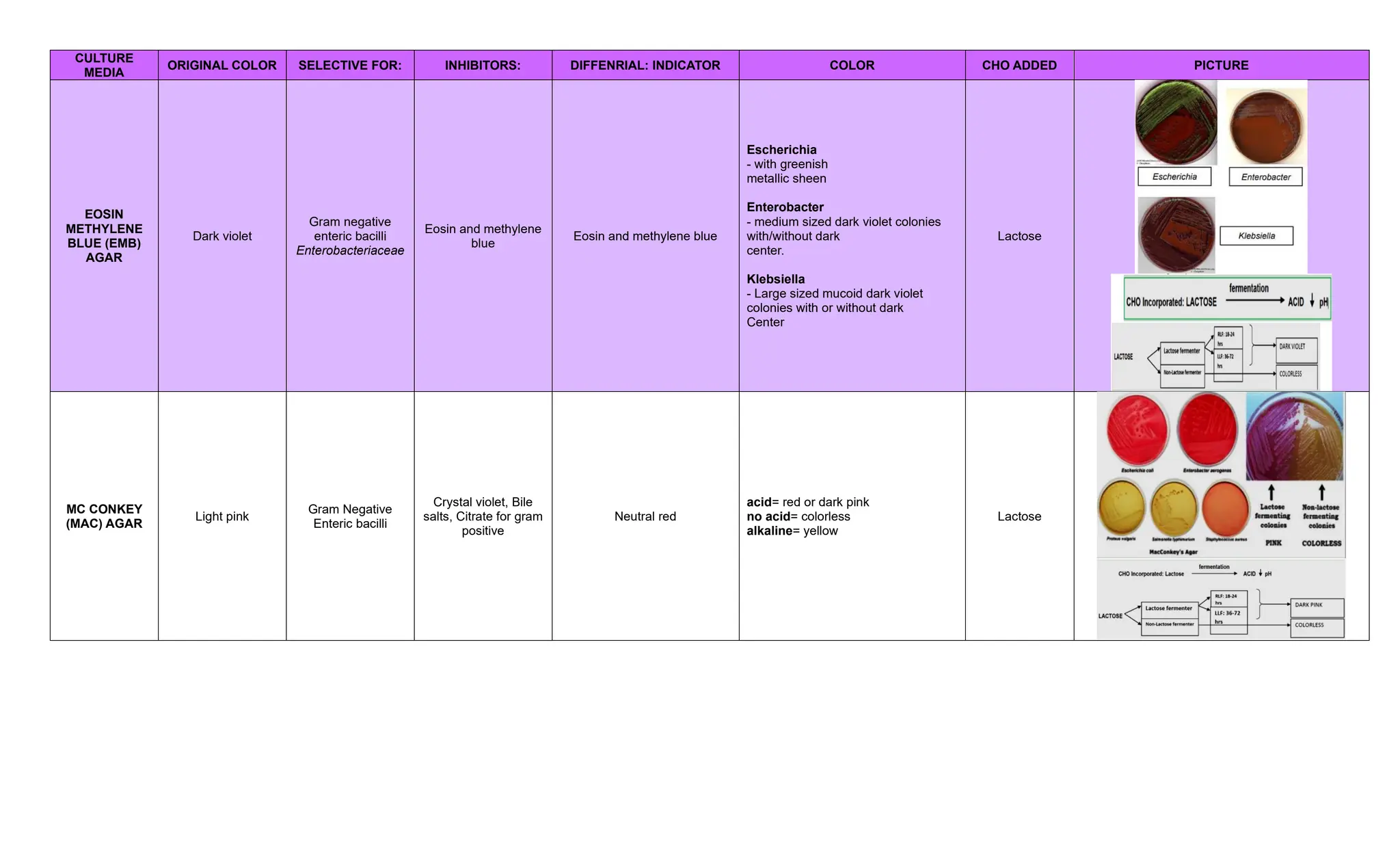 bacteriology culture medias tabulated .pdf