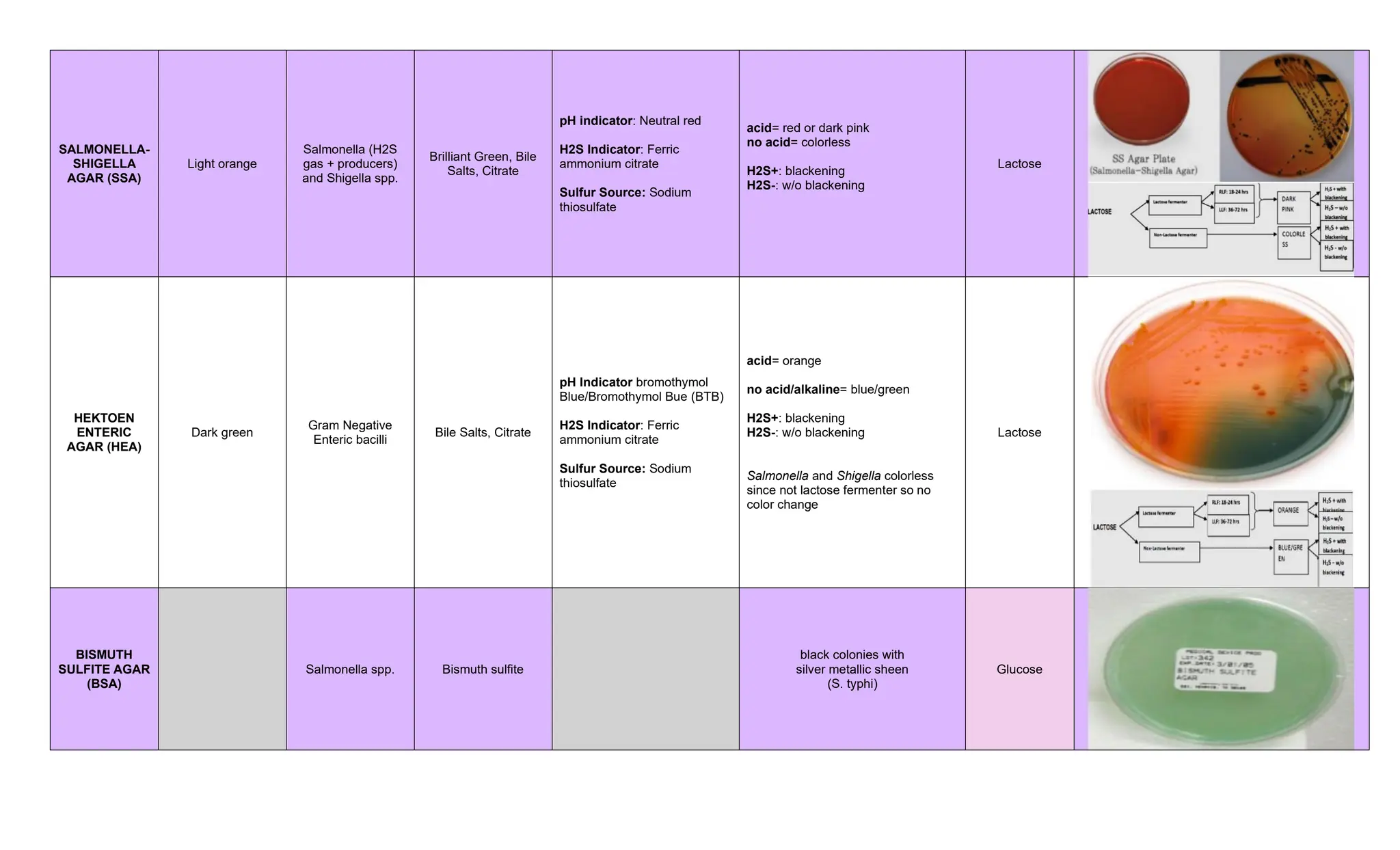 bacteriology culture medias tabulated .pdf