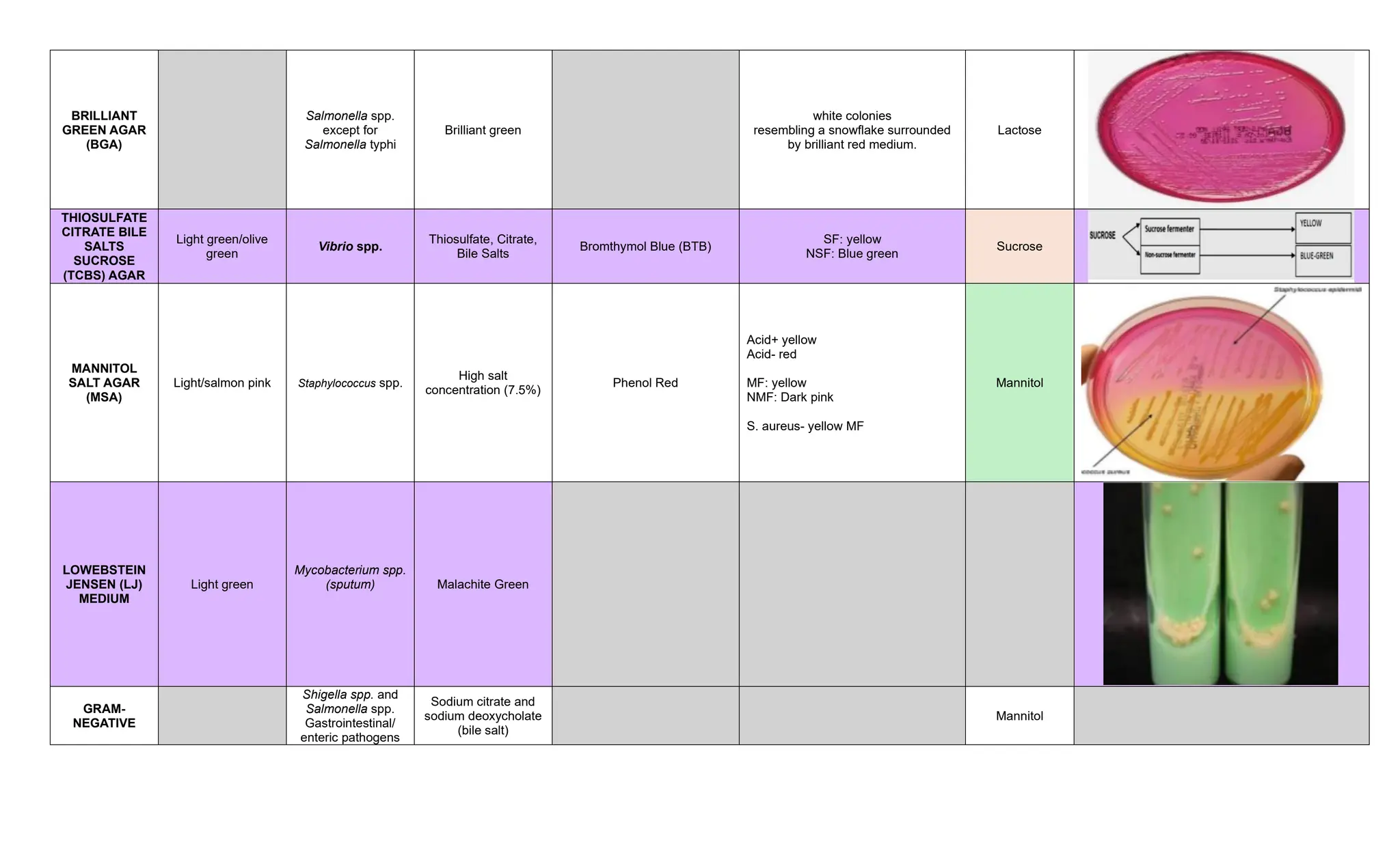 bacteriology culture medias tabulated .pdf