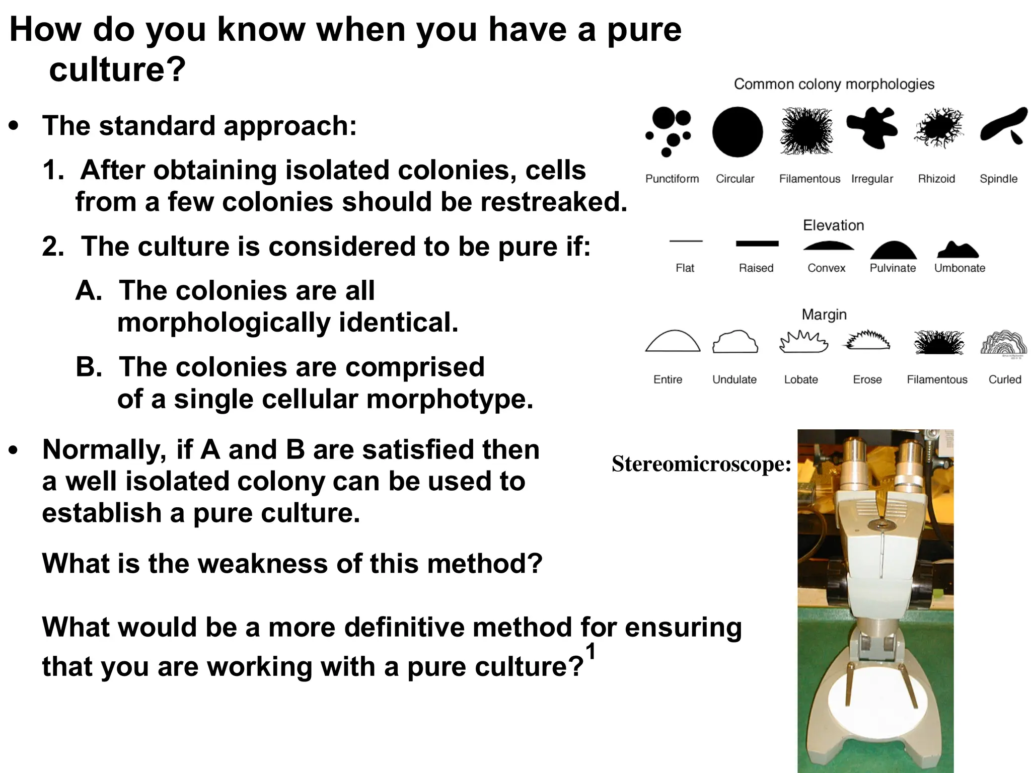 culture media for biochemical identification of bacteria.ppt