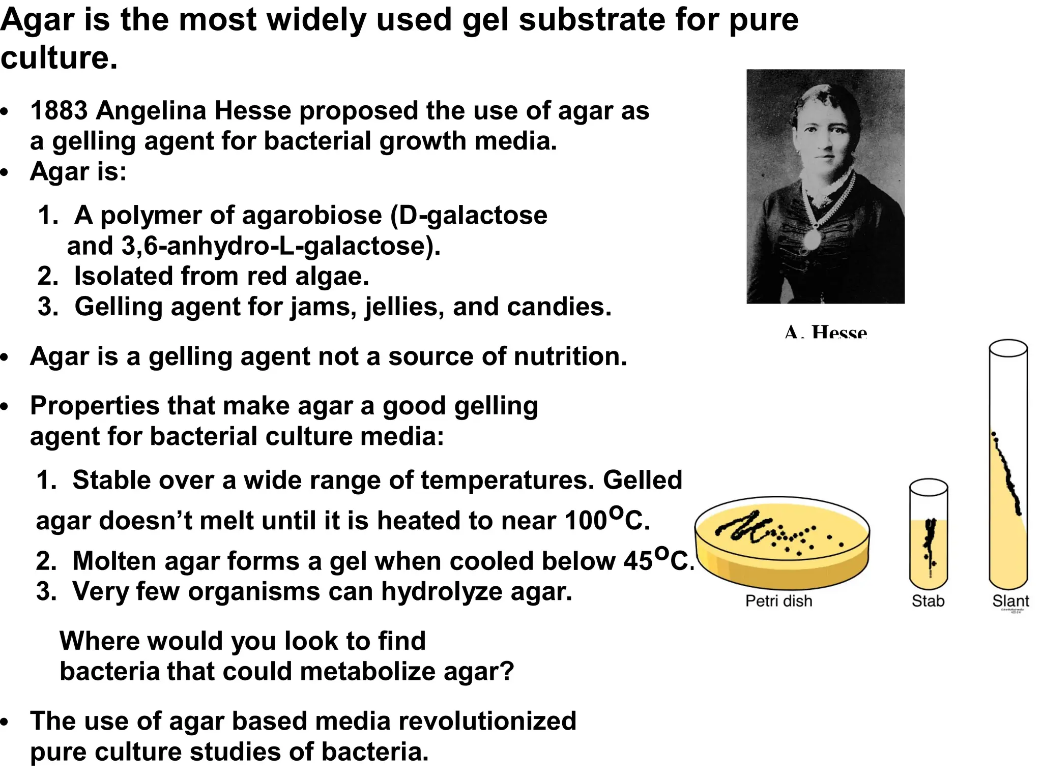 culture media for biochemical identification of bacteria.ppt