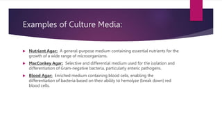 Culture Media and Bacterial Culture.pptx