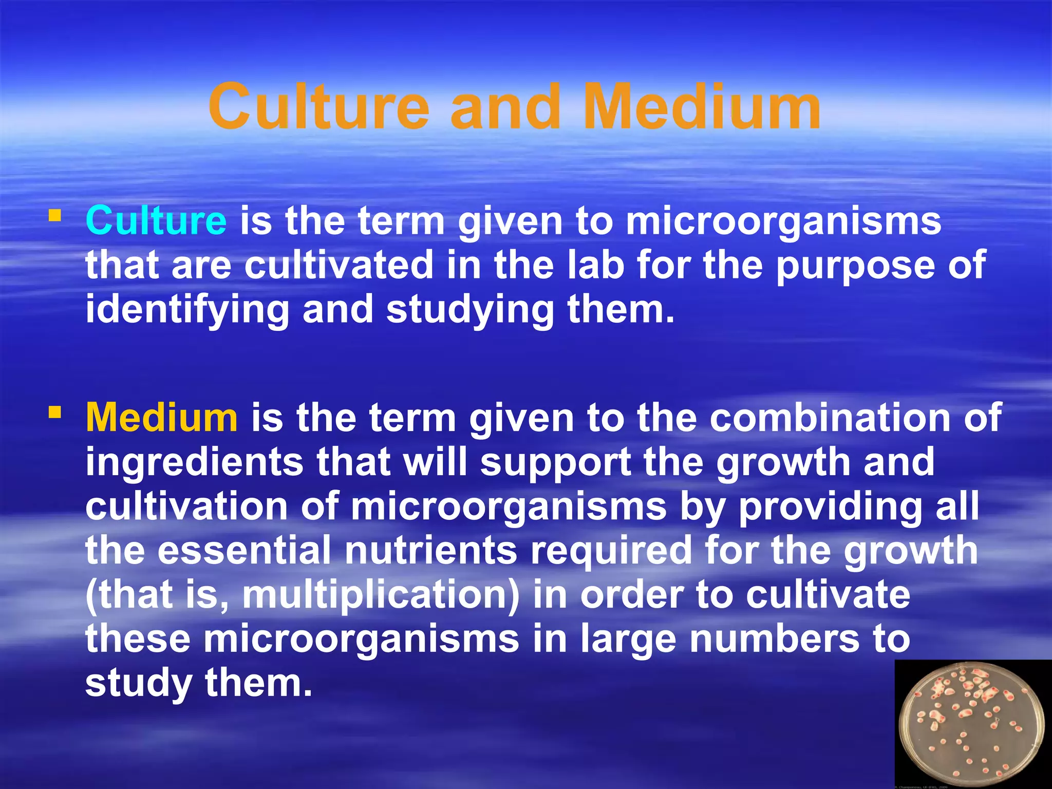 Culture Media and Culture Methods | PPT | Chemistry | Science