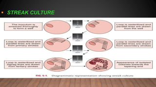 Culture media and culture methods | PPT