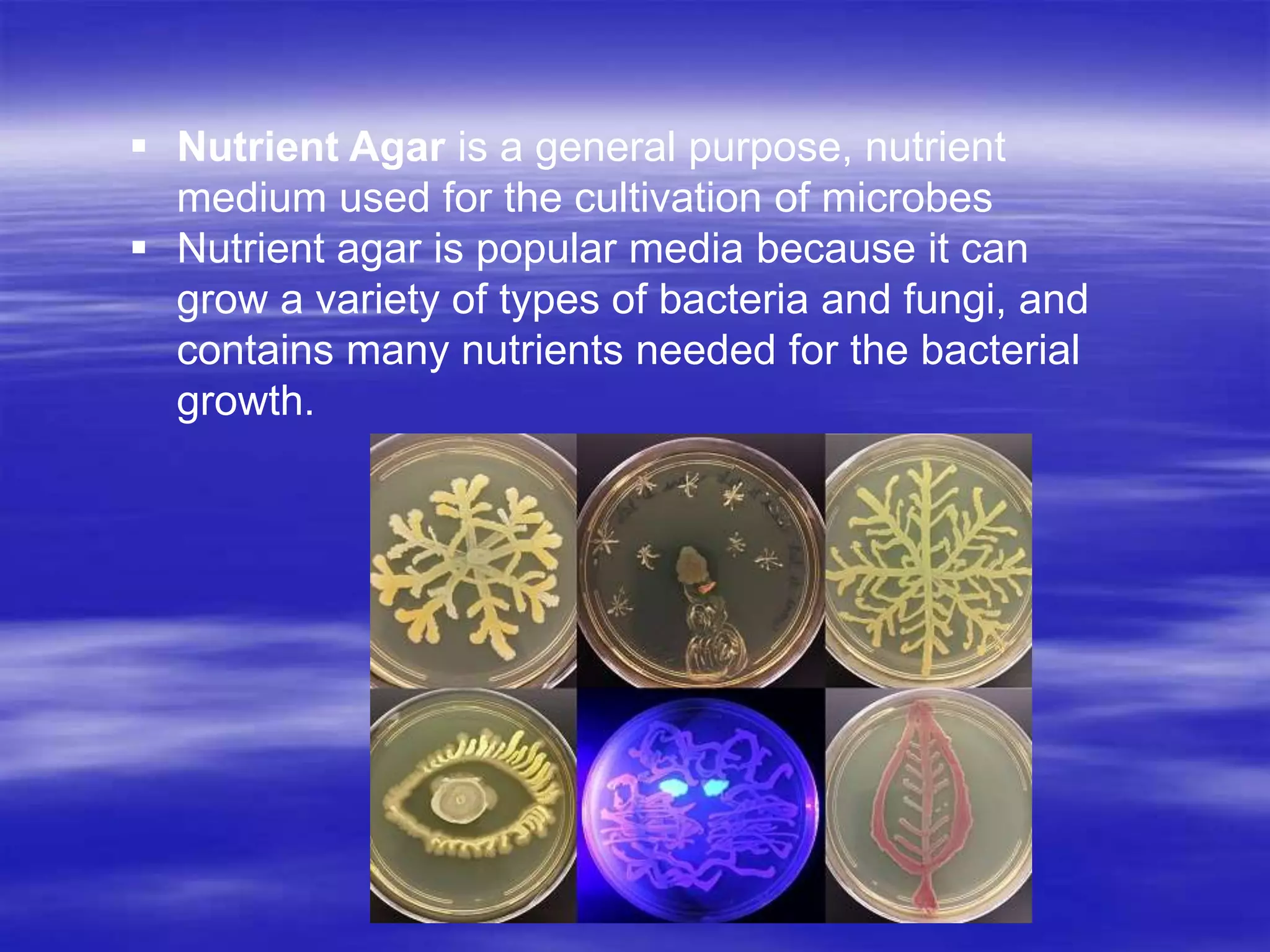 Culture Media and culture technique.ppt