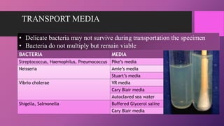 Culture media and Culture methods | PPTX