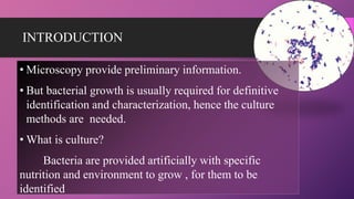 Culture media and Culture methods | PPTX