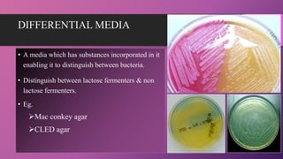 Culture media and Culture methods | PPTX