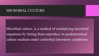 Culture media and Culture methods | PPTX