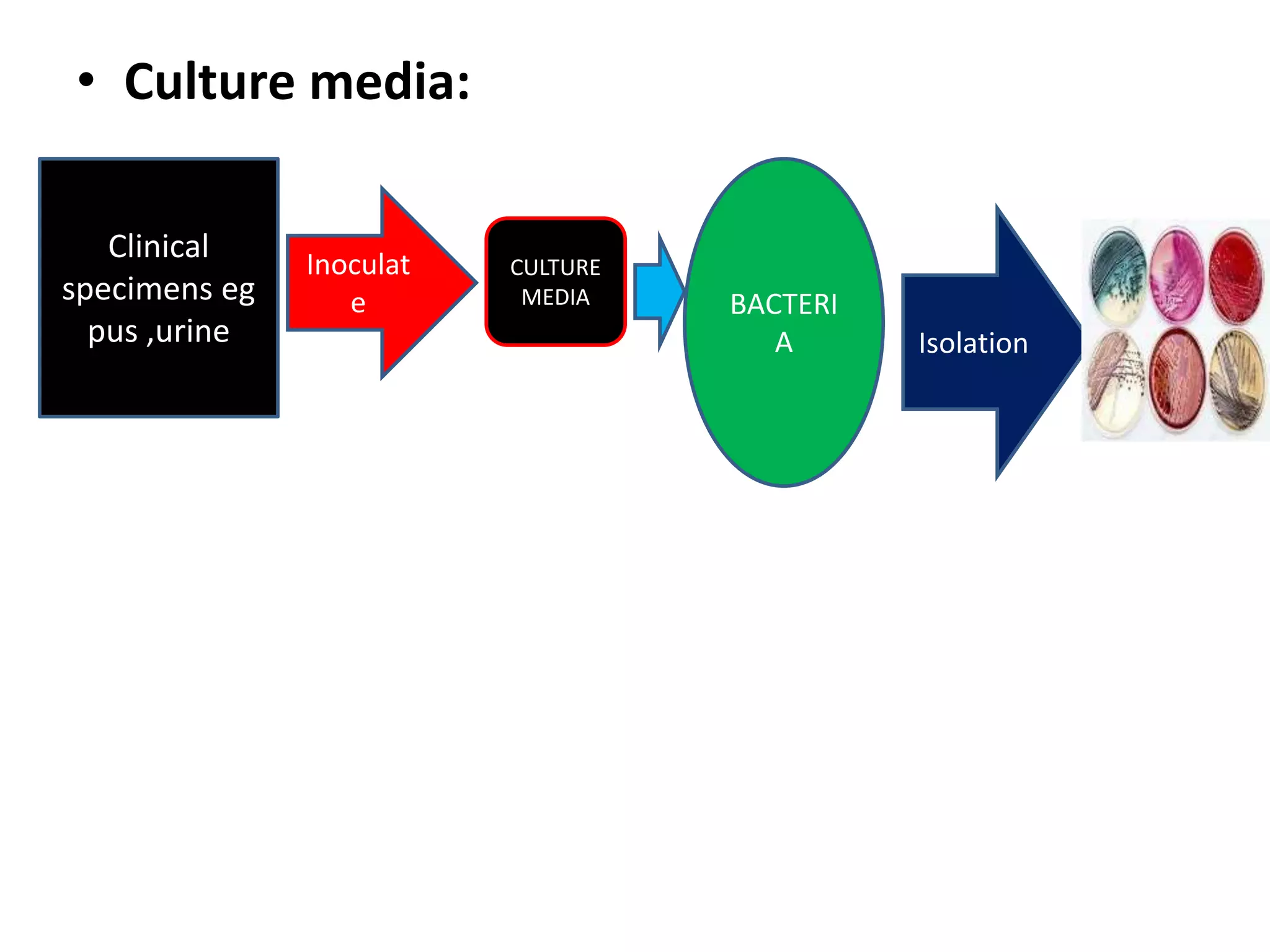 Culture media and methods | PPTX | Blood Disorders | Diseases and ...
