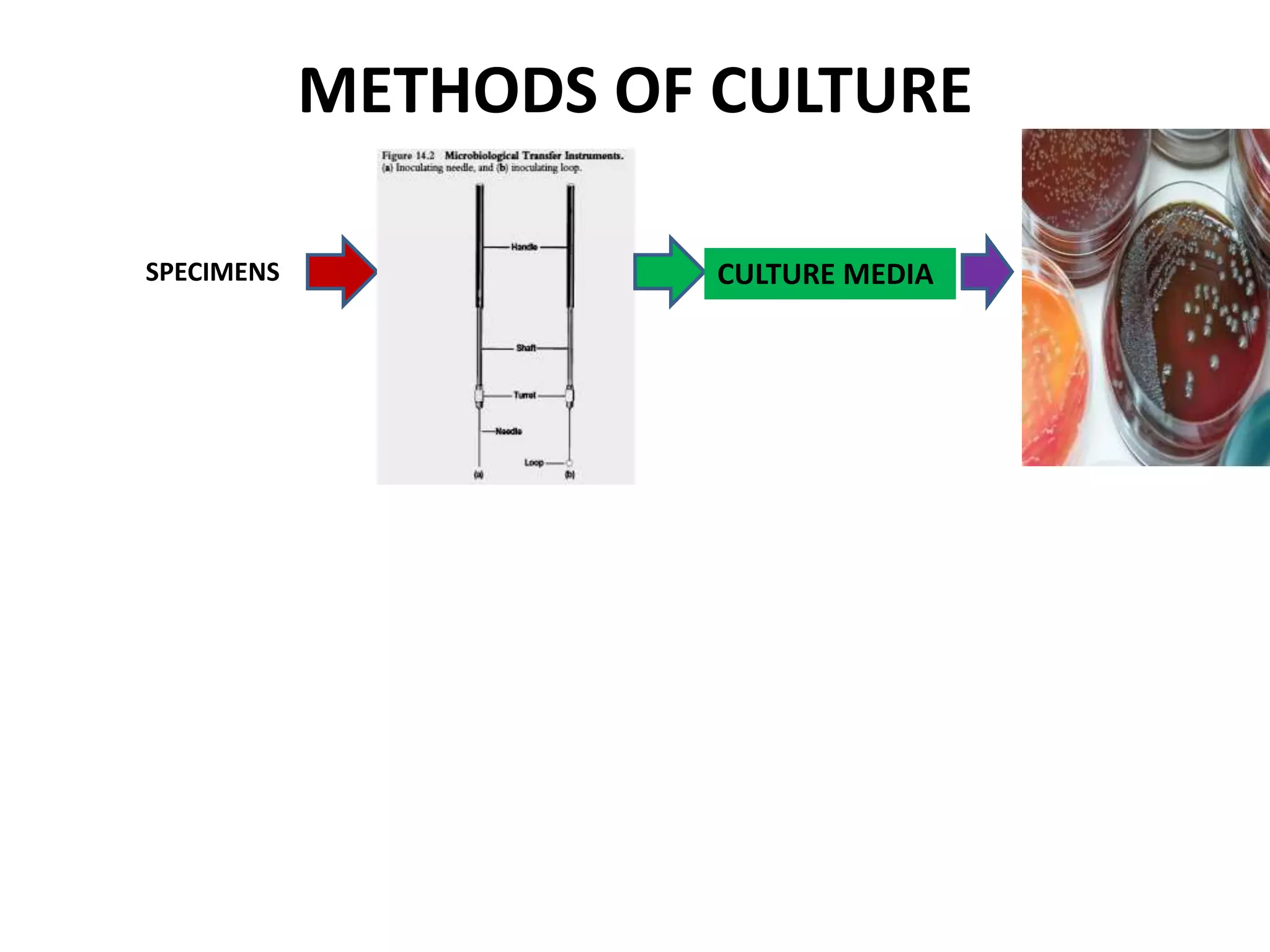 Culture media and methods | PPTX | Blood Disorders | Diseases and ...