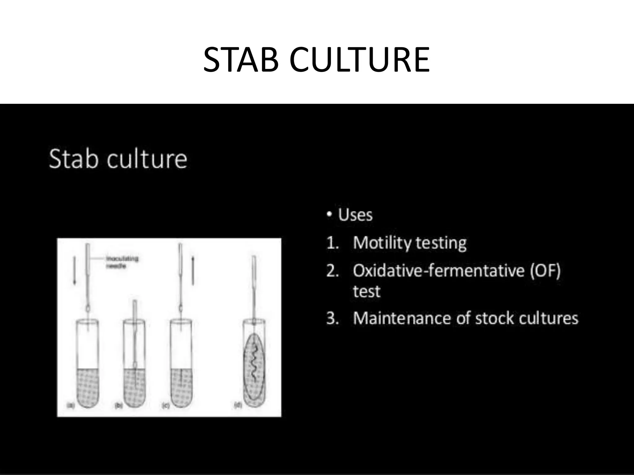 Culture media and methods | PPTX | Blood Disorders | Diseases and ...