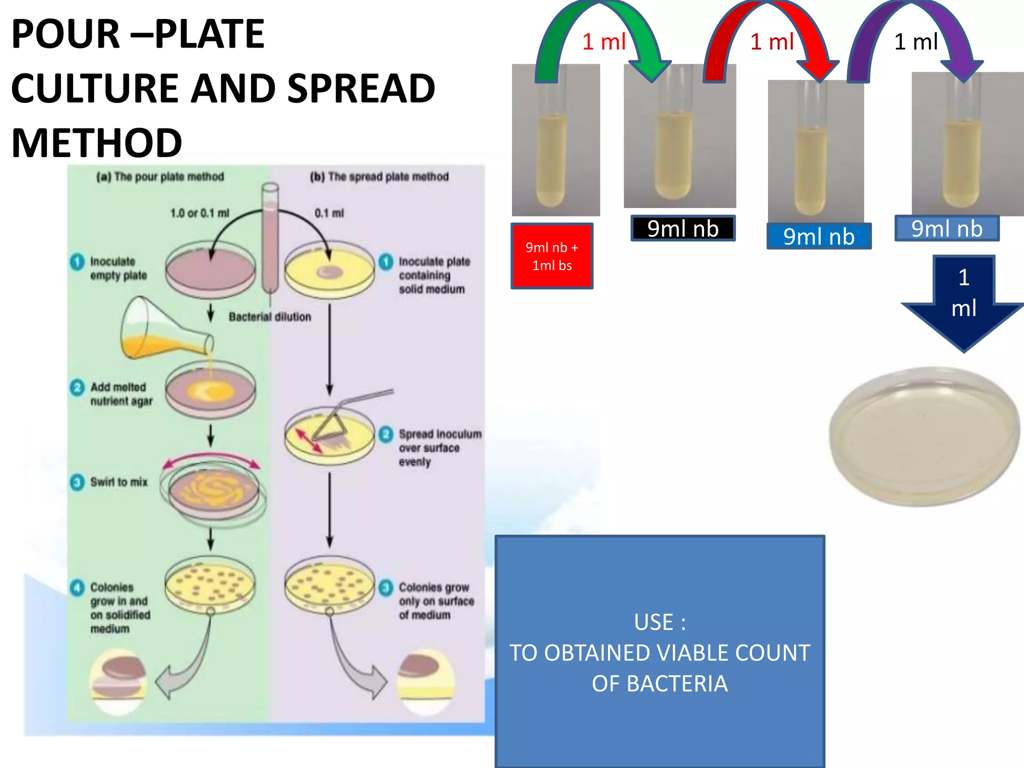 Culture media and methods | PPTX | Blood Disorders | Diseases and ...