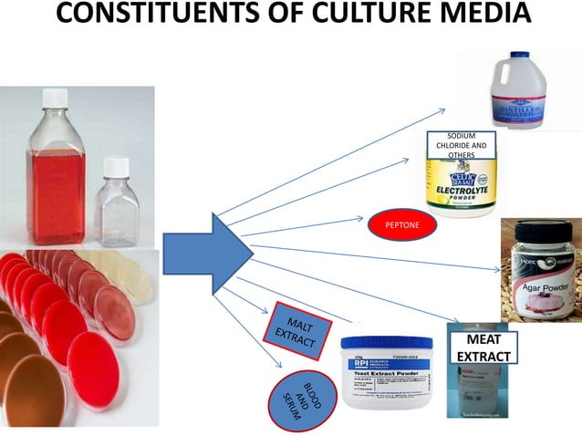 Culture media and methods | PPTX | Blood Disorders | Diseases and ...