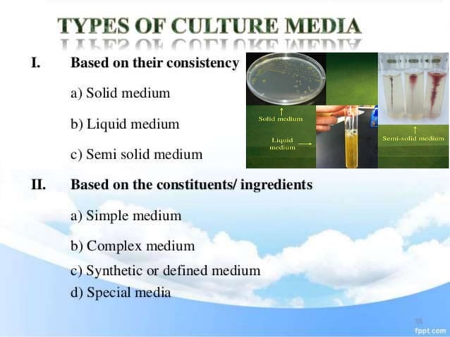Culture media and methods | PPTX | Blood Disorders | Diseases and ...