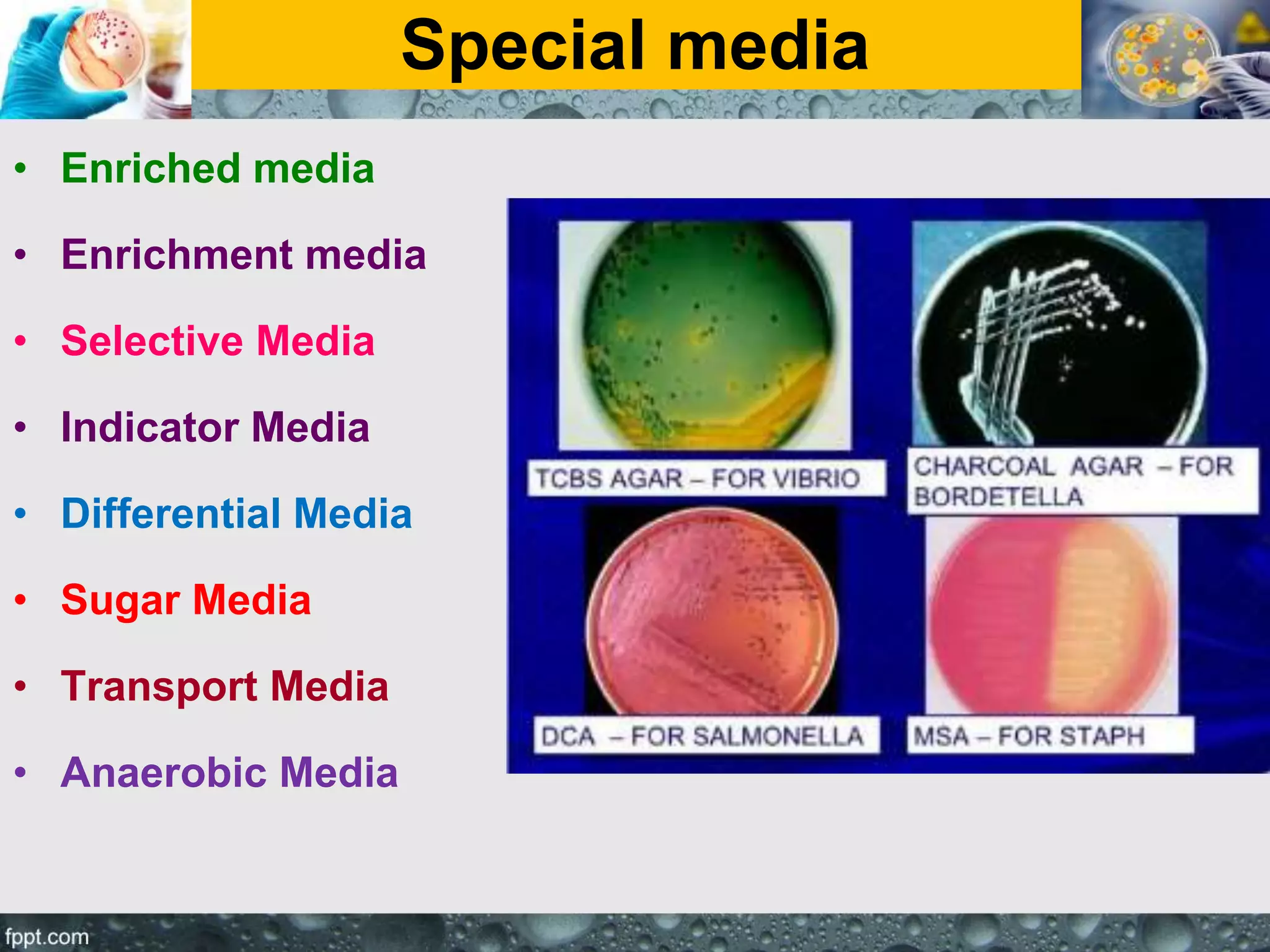 Culture Media and Methods.ppt