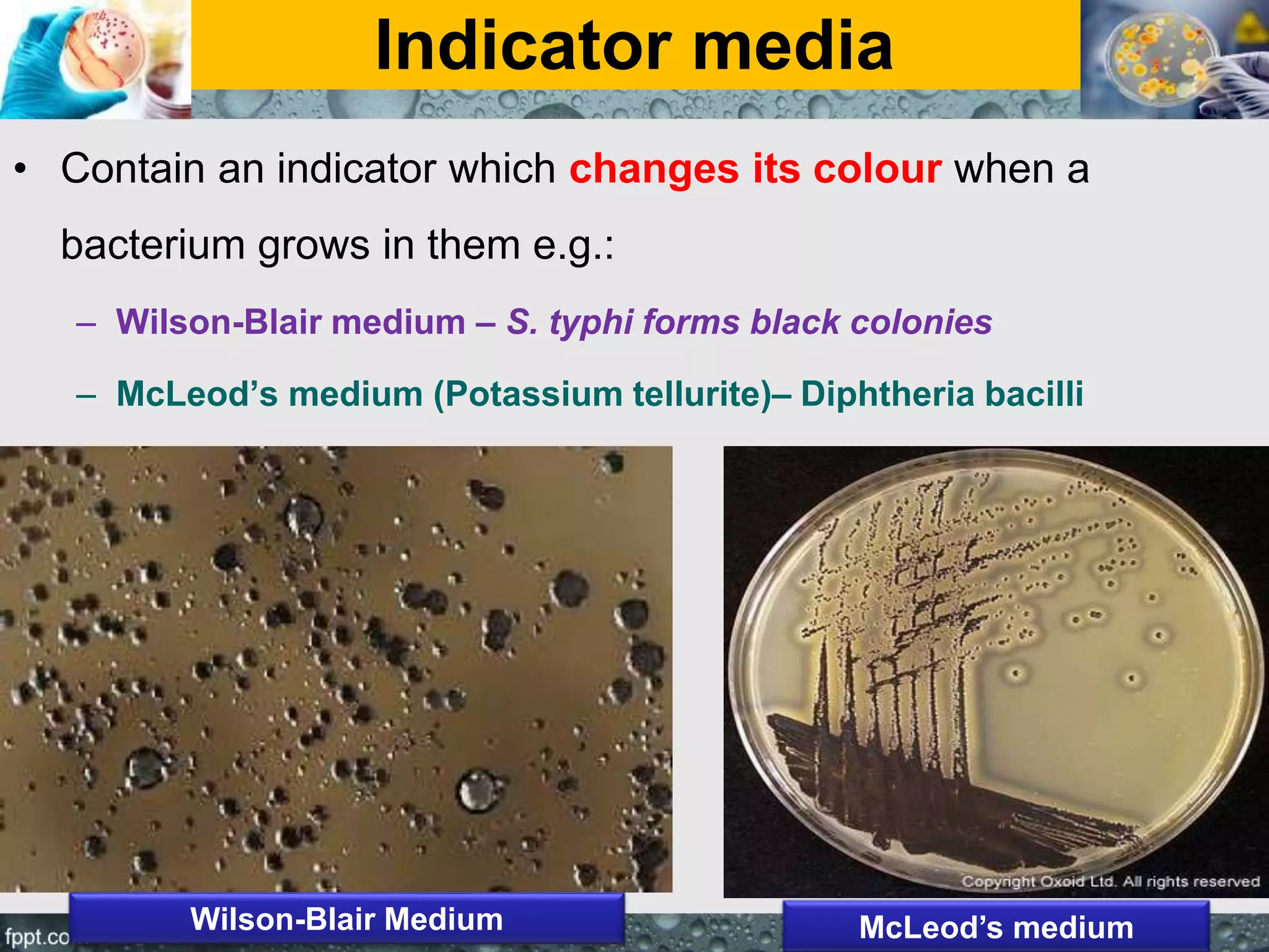 Culture Media and Methods.ppt