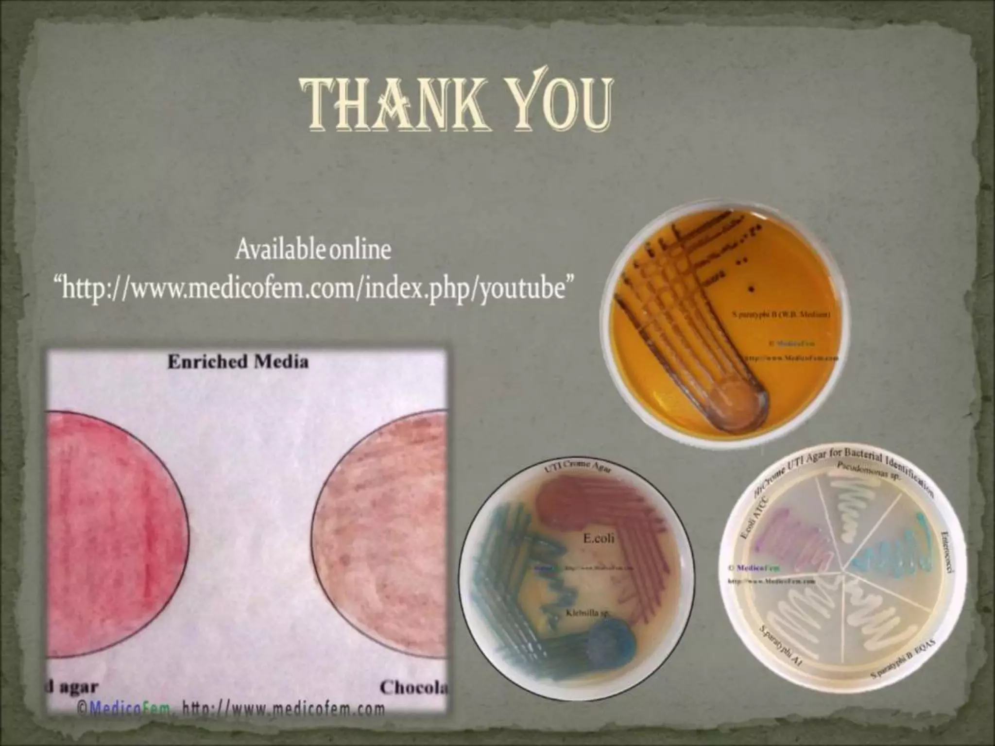 Culture Media and Methods.ppt