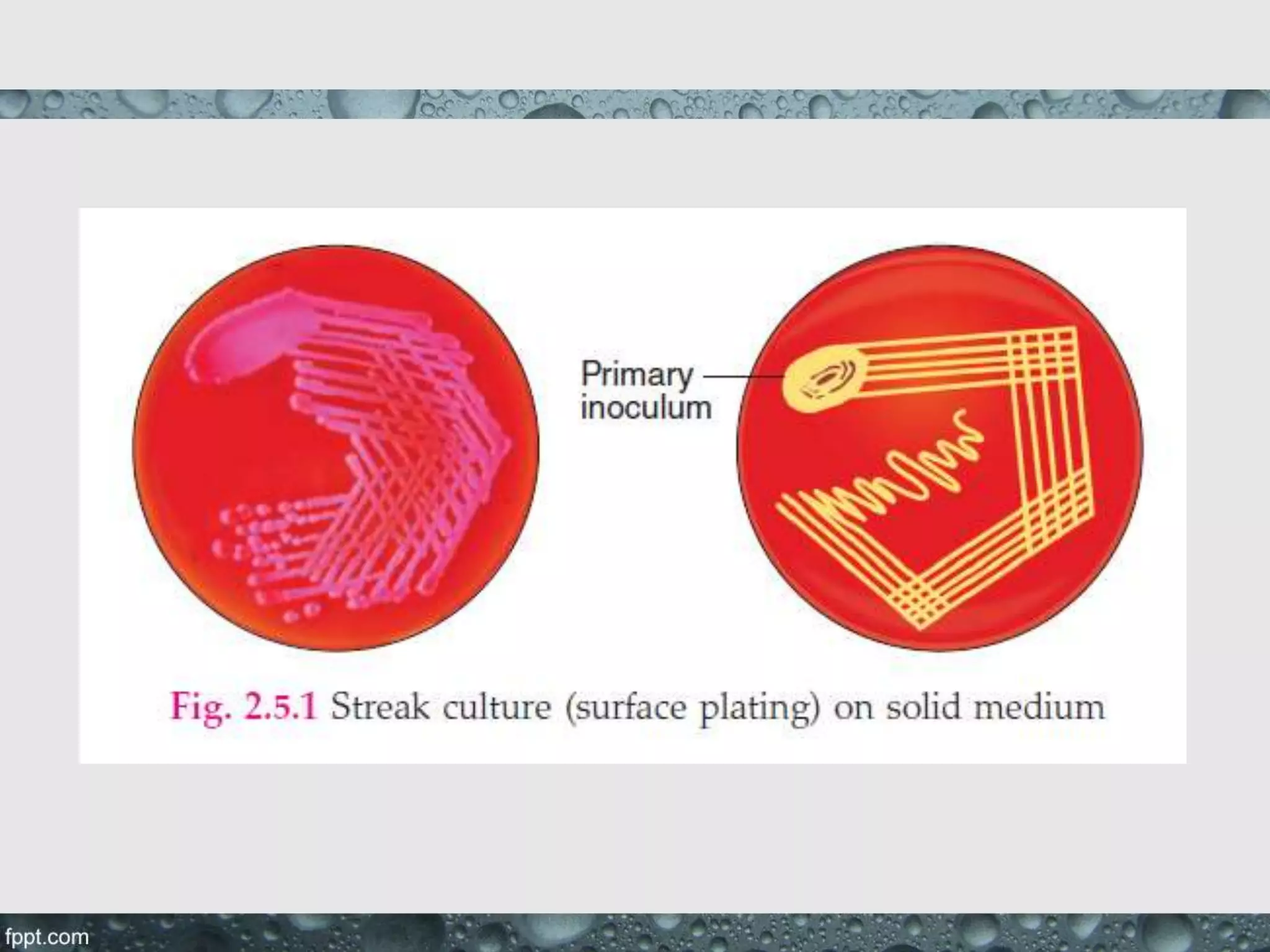 Culture Media and Methods.ppt