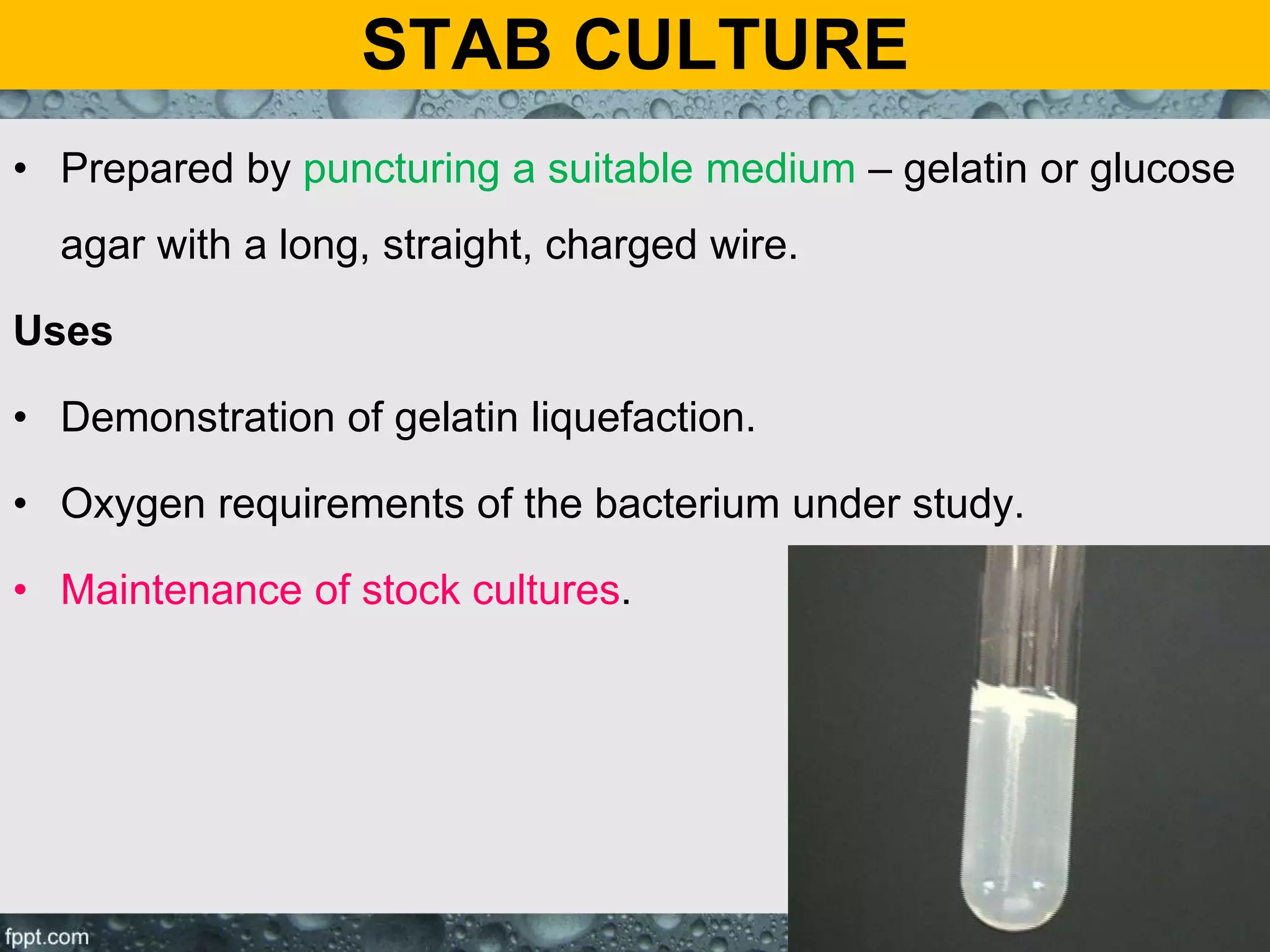 Culture Media and Methods.ppt