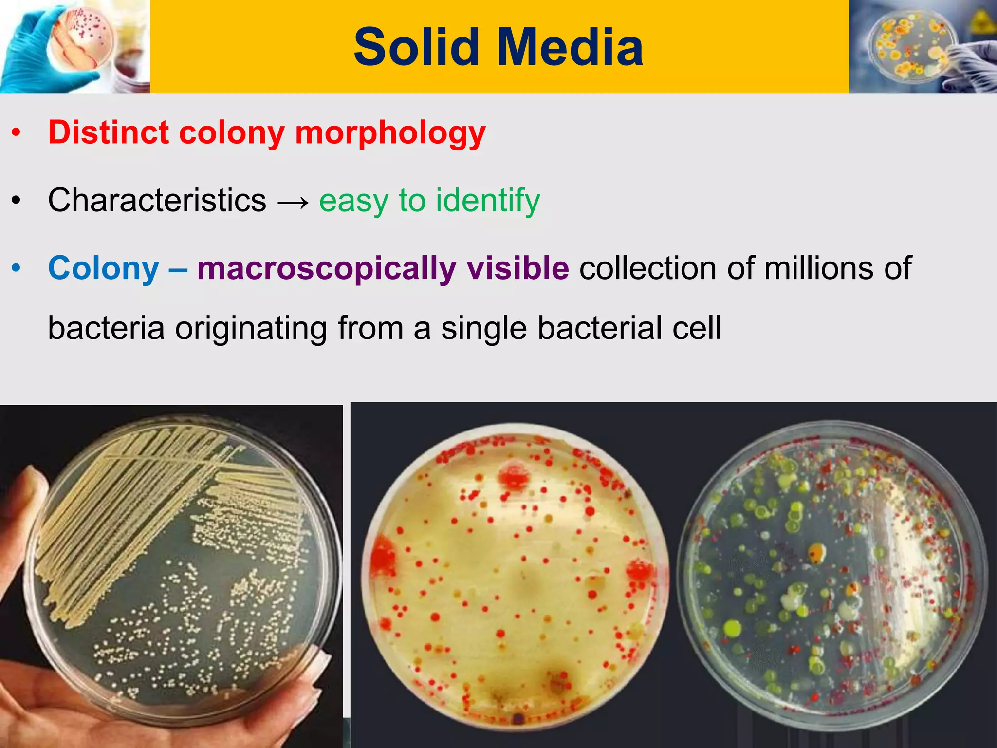 Culture Media and Methods.ppt