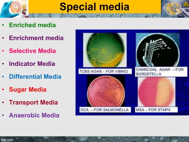 Culture Media and Methods.ppt