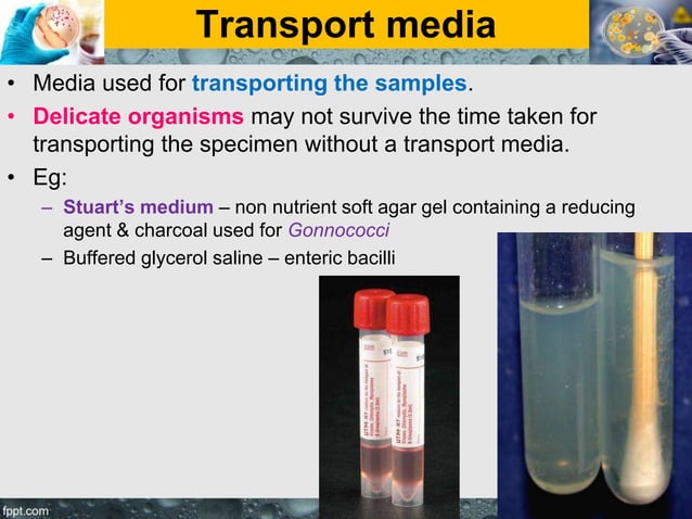 Culture Media and Methods.ppt