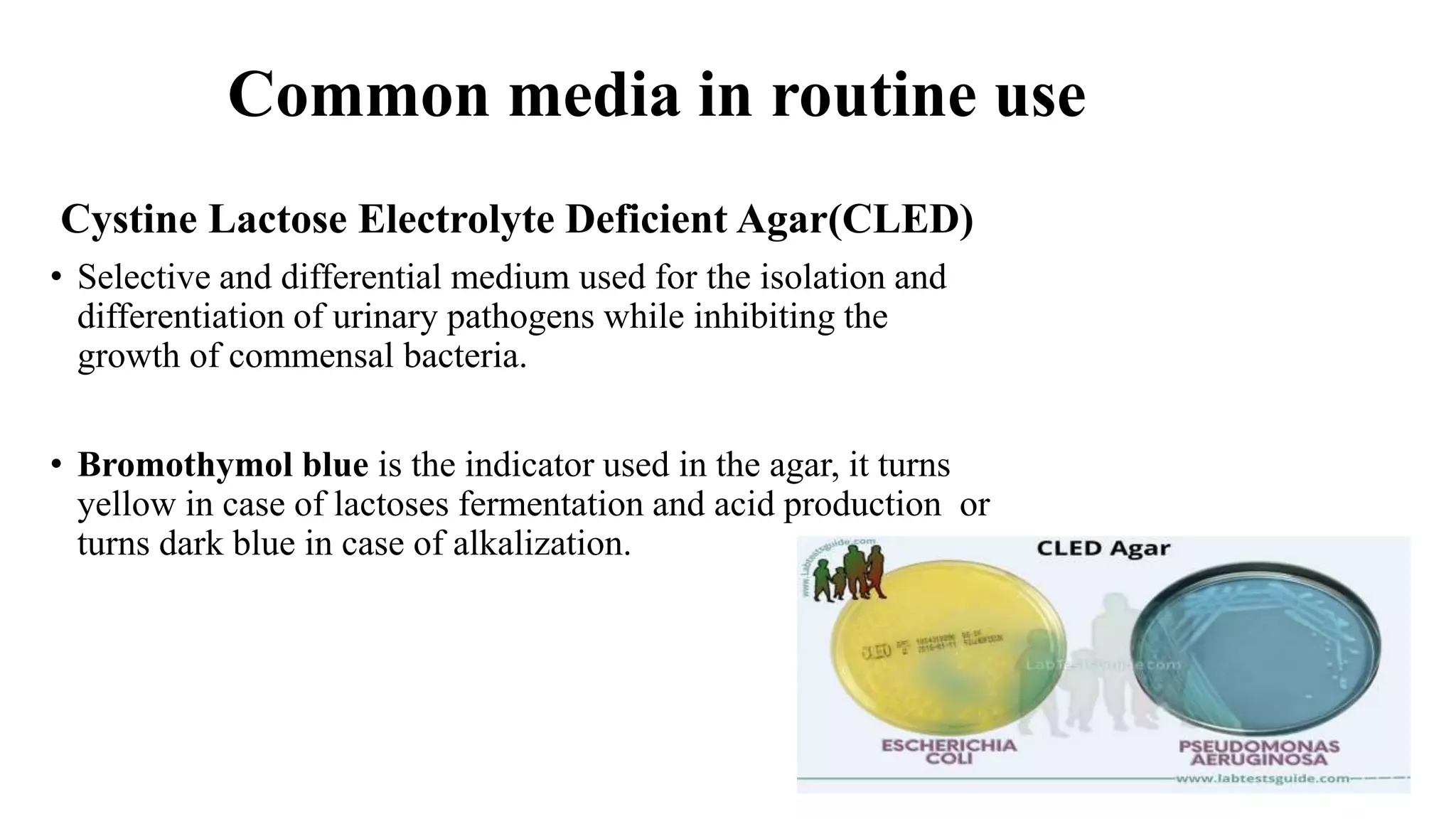 Culture Media and Streaking method.pptx