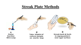 Culture Media and Streaking method.pptx