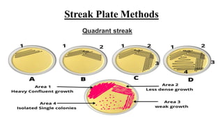 Culture Media and Streaking method.pptx