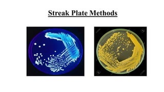 Culture Media and Streaking method.pptx
