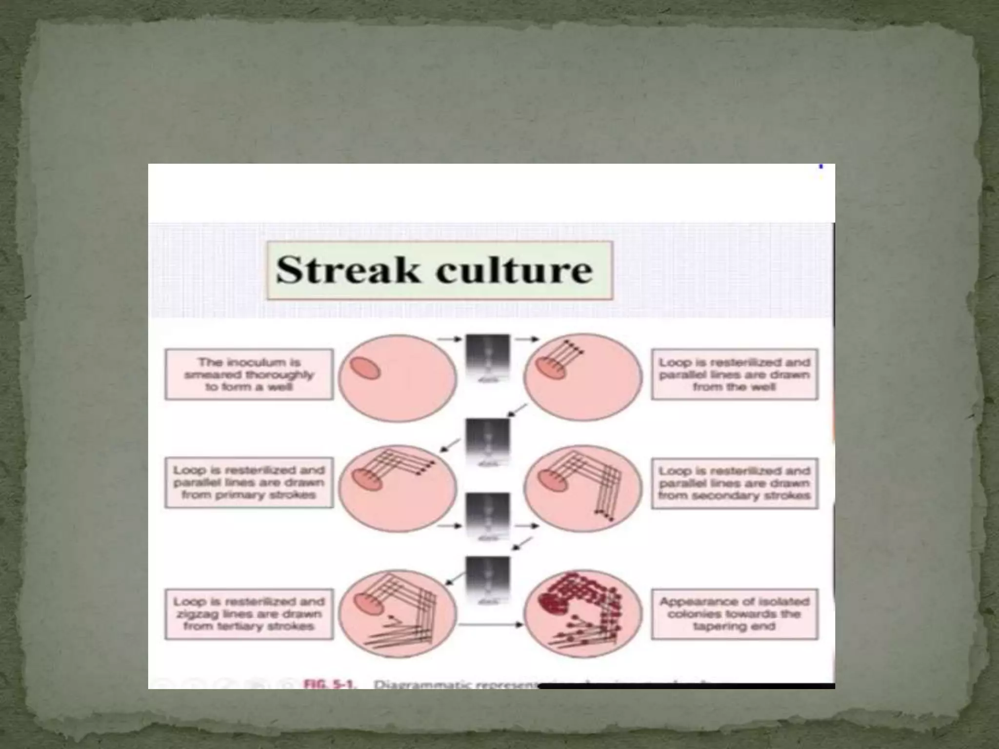 Culture media & culture methods.pptx