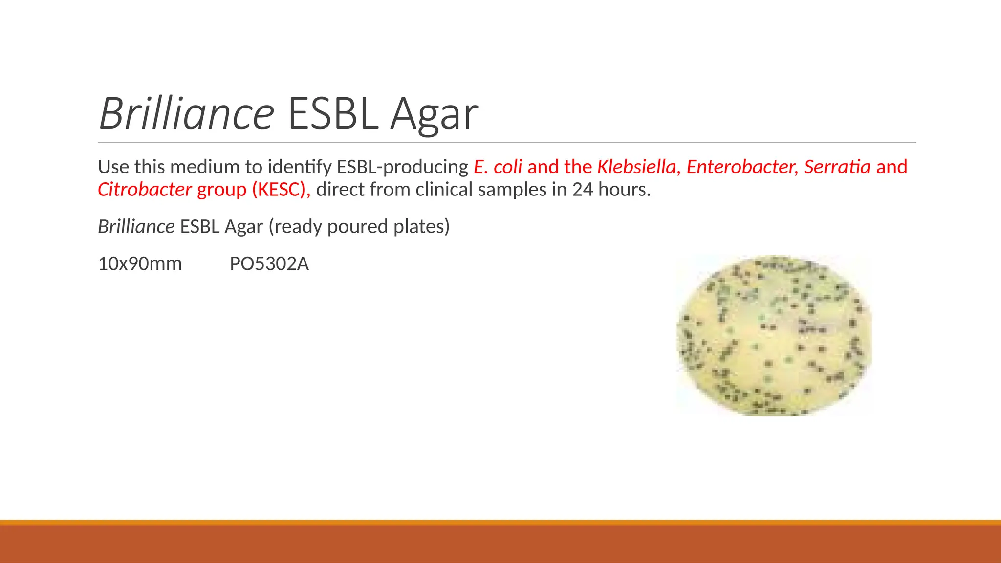 Culture Media Identification Brilliance.pptx