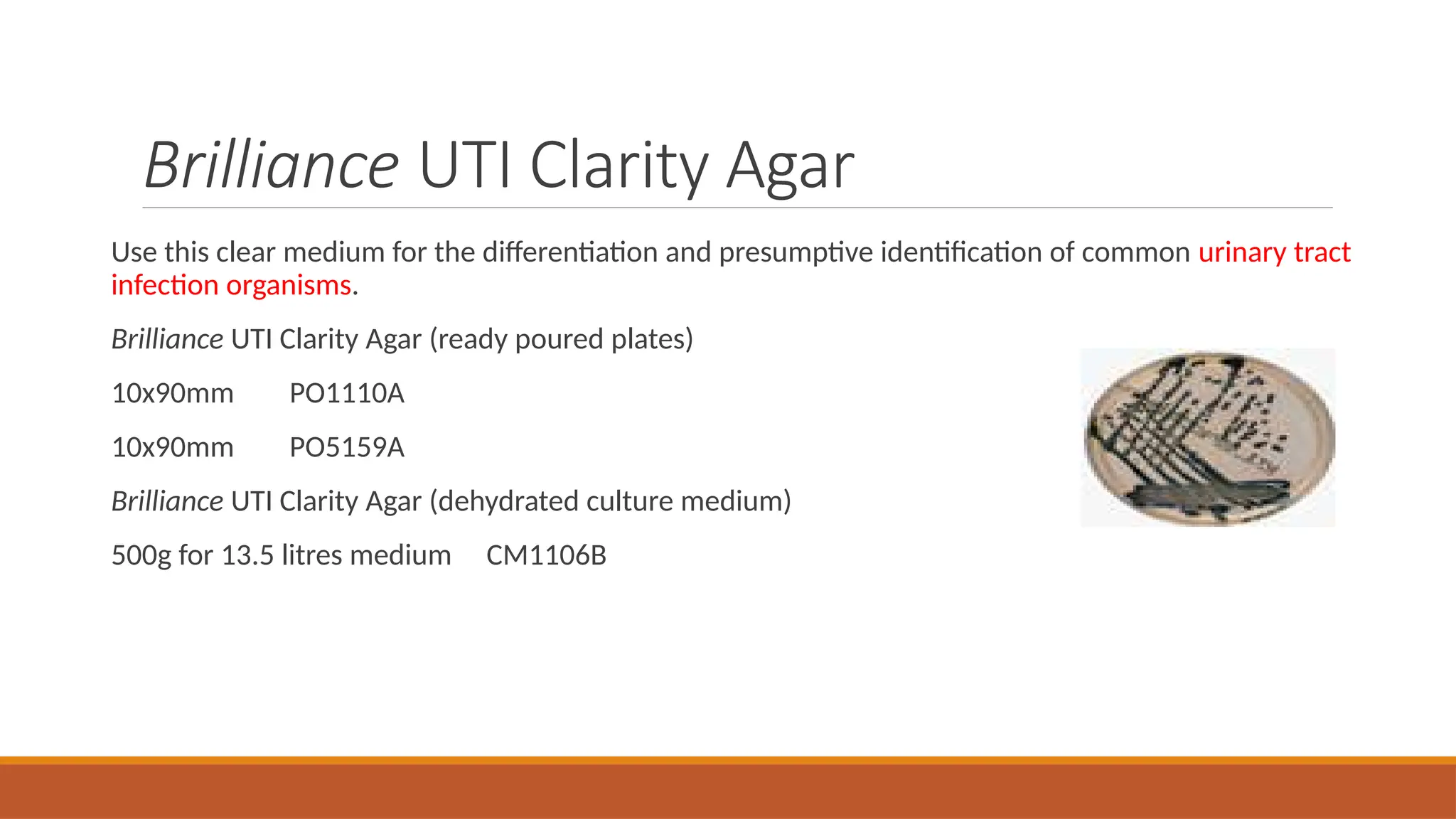 Culture Media Identification Brilliance.pptx