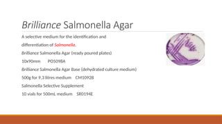 Culture Media Identification Brilliance.pptx