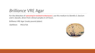 Culture Media Identification Brilliance.pptx