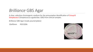 Culture Media Identification Brilliance.pptx