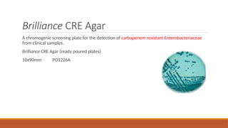 Culture Media Identification Brilliance.pptx