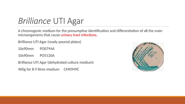 Culture Media Identification Brilliance.pptx