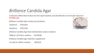 Culture Media Identification Brilliance.pptx