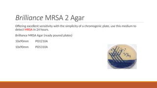 Culture Media Identification Brilliance.pptx