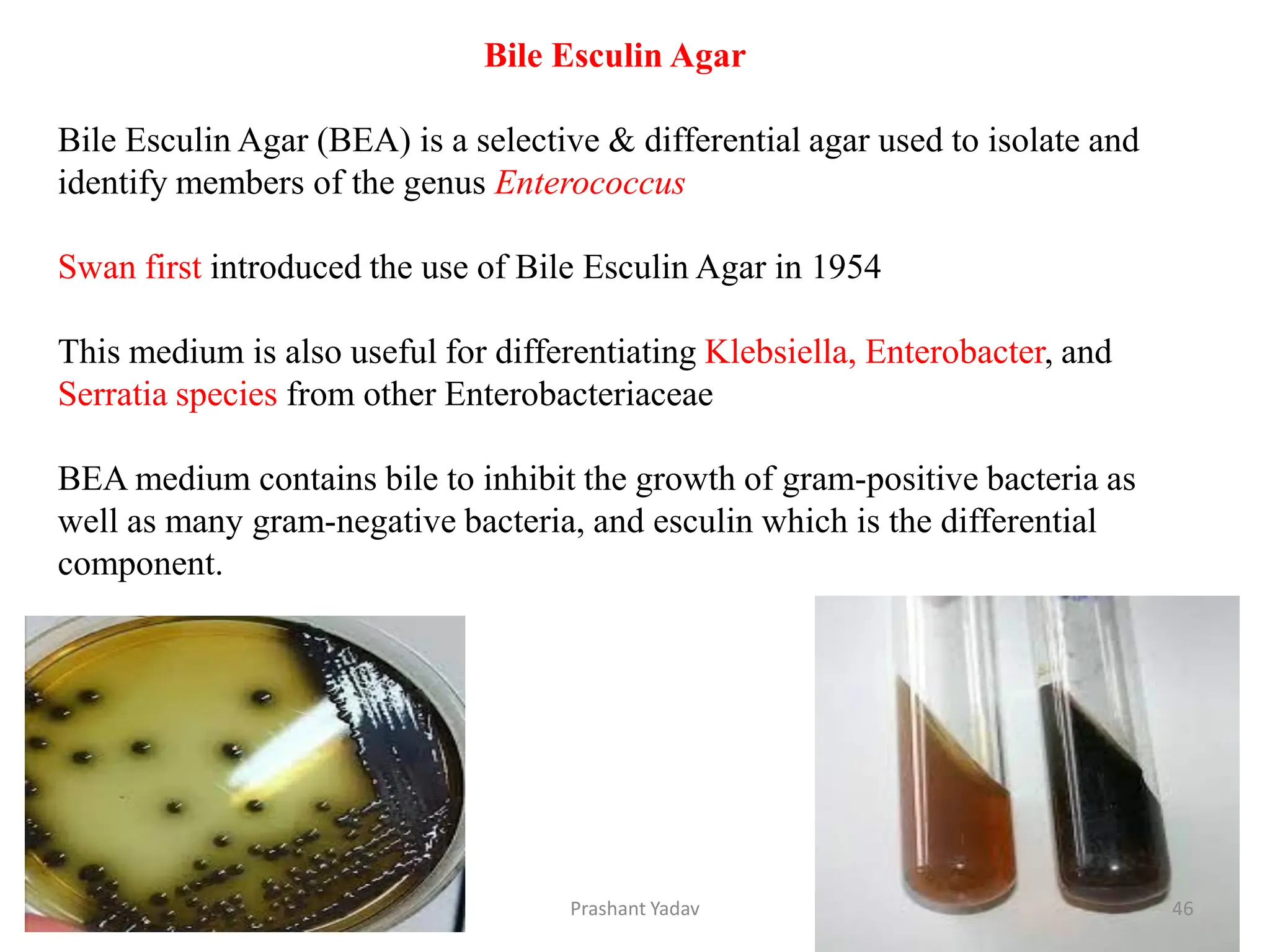 CULTURE MEDIA- medical microbiology lab | PDF